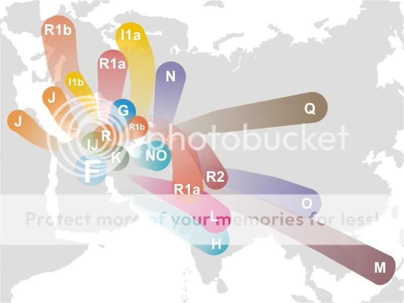 Finn Tat-C controversy